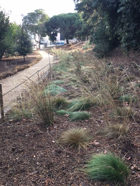 As 2022 draws to a close, the Greenway is still a work in progress